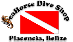 PADI Open Water Certification Course | Placencia Belize | Seahorse Dive Shop