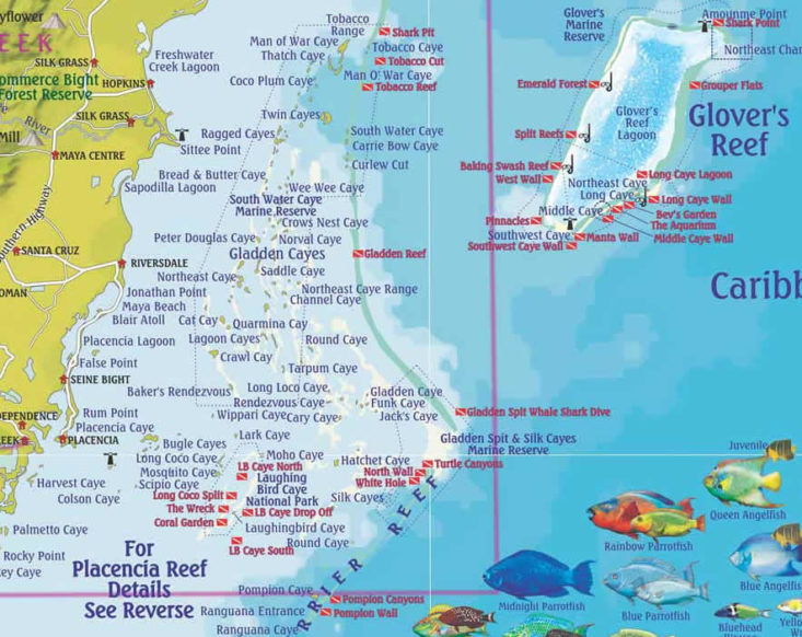 Placencia Belize Diving and Snorkeling Tours | Seahorse Dive Shop