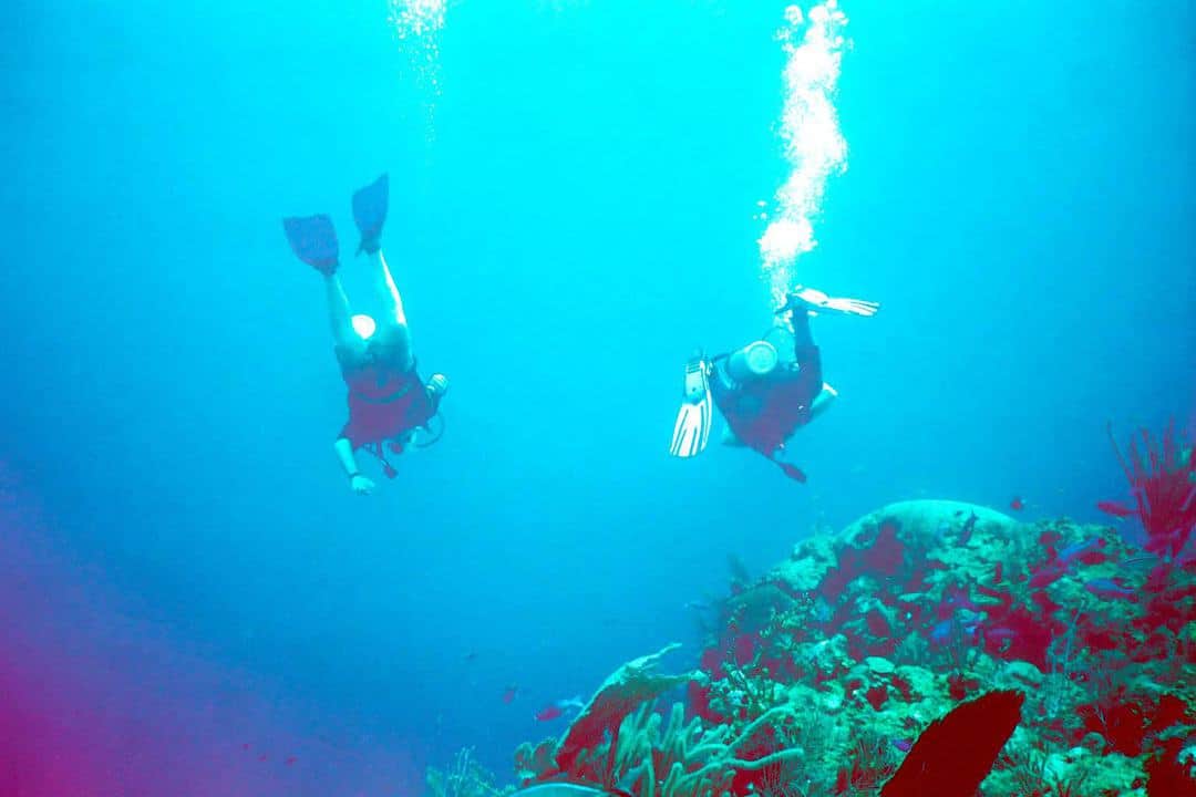 South Water Caye Diving and Snorkeling | South Water Caye