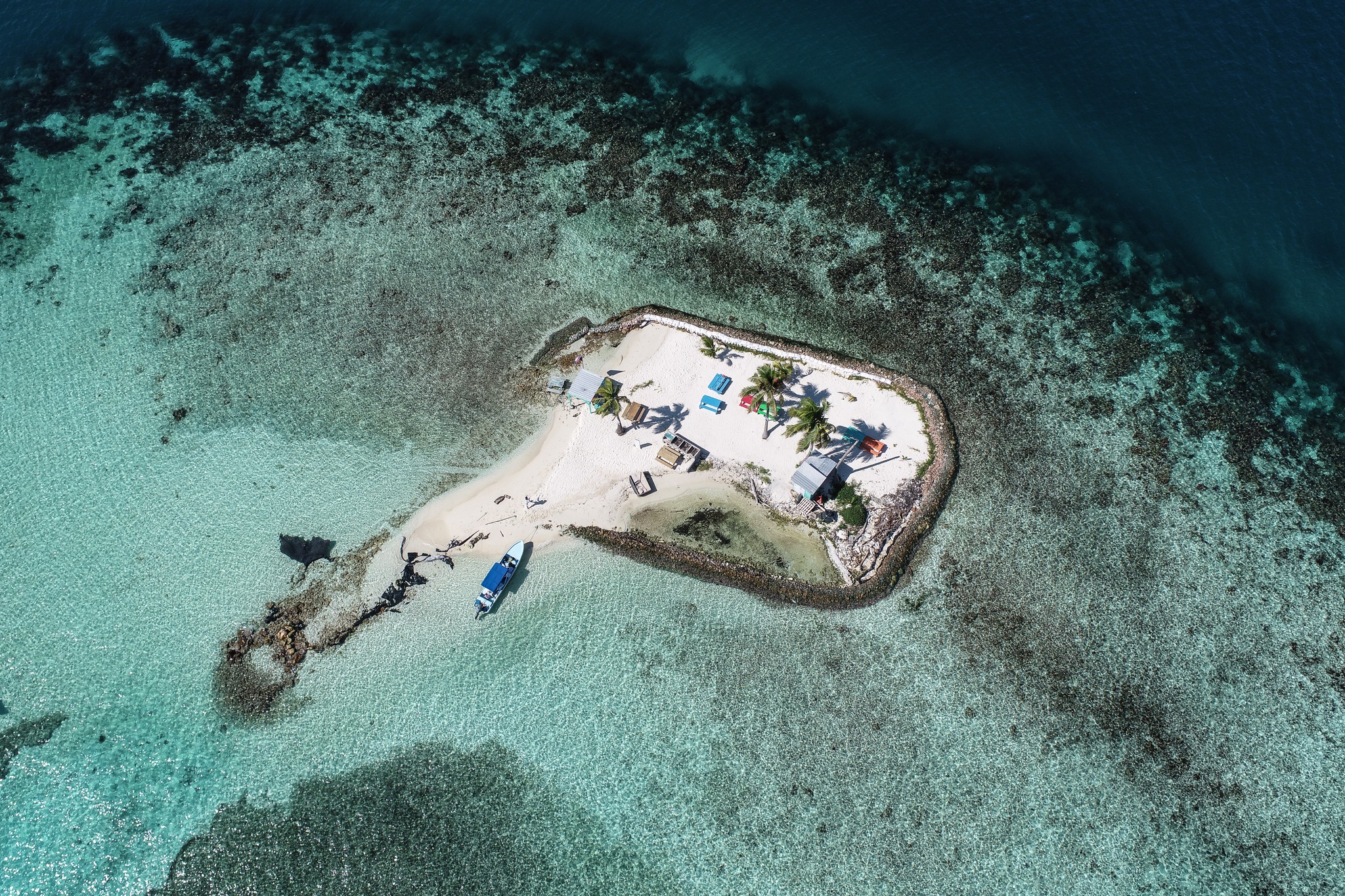 Silk Cayes and Turtle Ray Ally Snorkeling | Seahorse Dive Shop